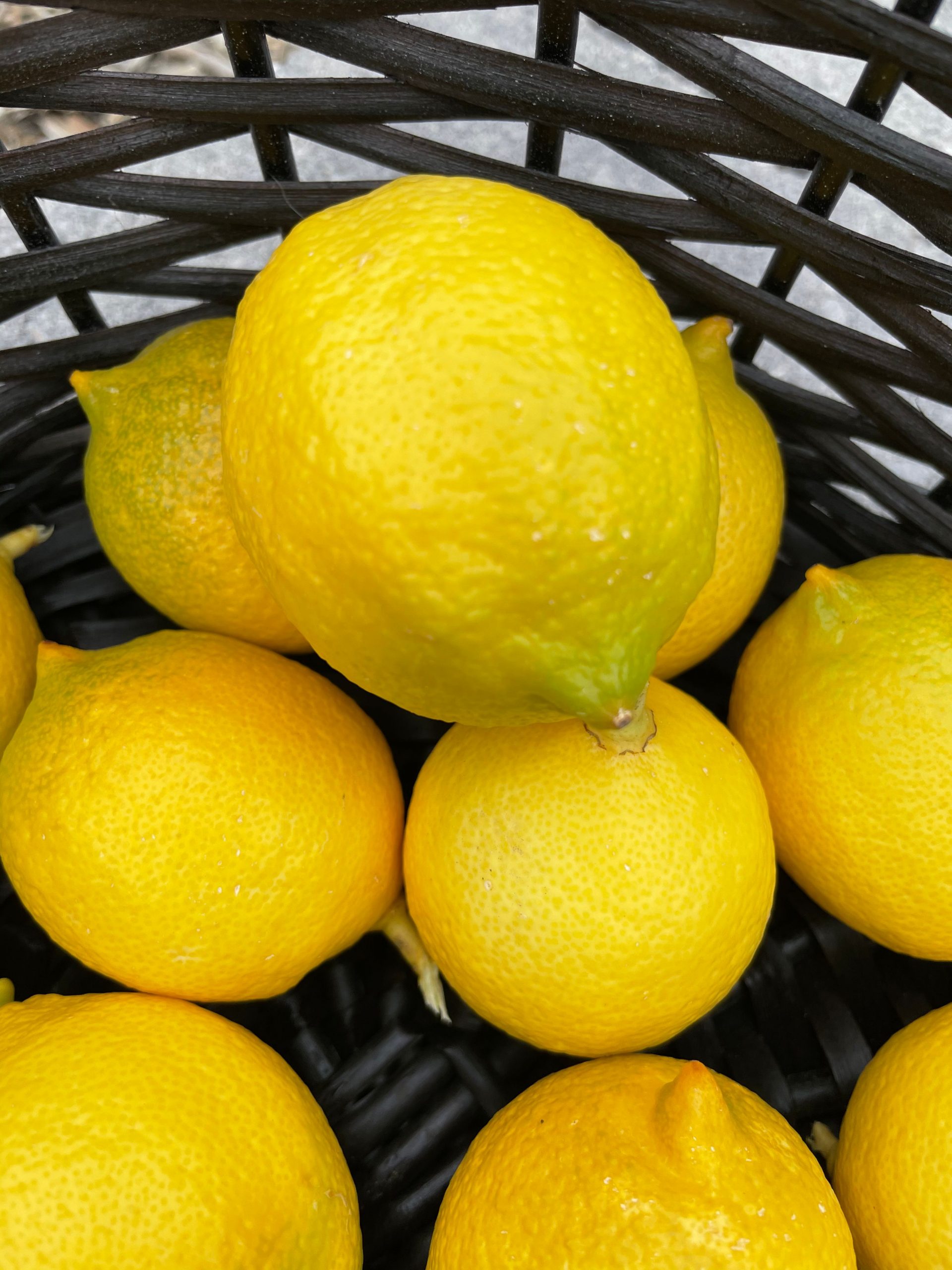 When Life Gives you Lemons… – Living Frenchly